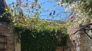 Uma área de jardim com uma rede, um banco e uma estátua.