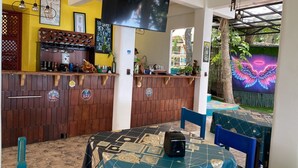Uma área de bar com painéis de madeira, um balcão com diversos garrafas e copos, e um mural de asas na parede.