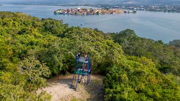 Uma plataforma de casa na árvore rodeada por floresta densa, com vista para uma cidade costeira com edifícios e um corpo de água.