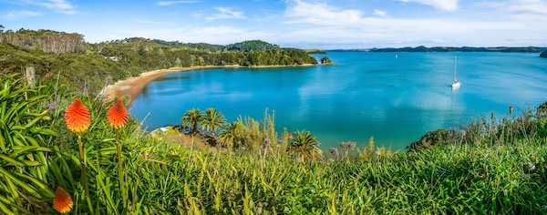 Driftwood Seaside Escapes - Kerikeri