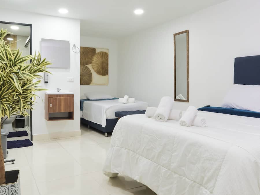 Quarto casal ou duplo família, 1 quarto | Roupas de cama de algodão egípcio, roupas de cama premium