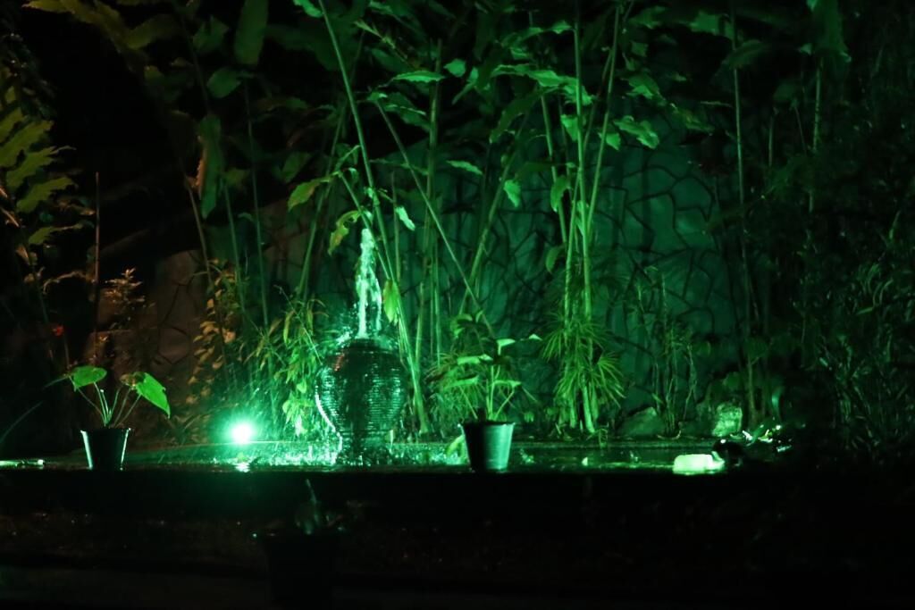 Um jardim escuro, iluminado em tons de verde, com um espelho d'água e plantas em vasos.