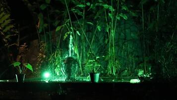Um jardim escuro, iluminado em tons de verde, com um espelho d'água e plantas em vasos.