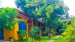 Um caminho leva a um edifício amarelo com portas azuis, rodeado por vegetação exuberante e pequenas plantas.