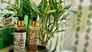 Um banheiro com uma planta verde, um espelho e duas embalagens de produtos para cabelo em uma prateleira.