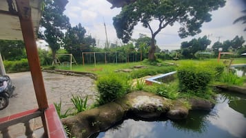 Jardim