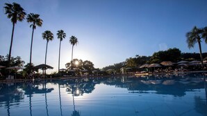 Uma piscina cercada por palmeiras e guarda-sóis.