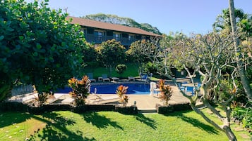 Jardim