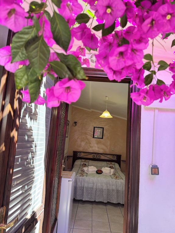 Double Room With Private Bathroom - Ricadi