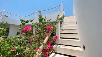 Vila básica | Área da propriedade