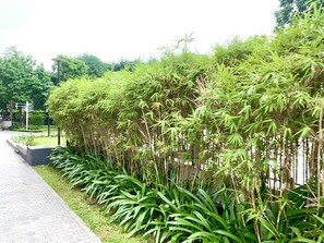 Jardim japonês