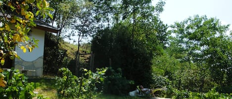 Jardim