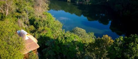 Uma cabana com telhado de palha aninhada em meio a uma floresta densa, com vista para um lago tranquilo.