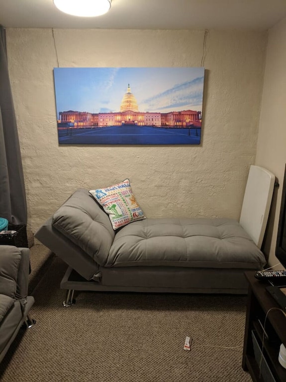 English Basement Apt In A Classic Dc Neighborhood - Washington, D.C.