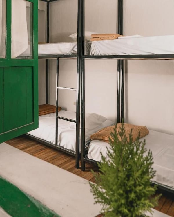 Wild Monkey - Cuenca