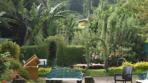 Um jardim com bancos, um edifício amarelo e diversas plantas.