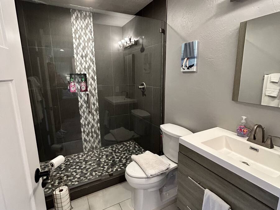 Suite Deluxe | Casa de banho | Um secador de cabelo, toalhas fornecidas, papel higiénico