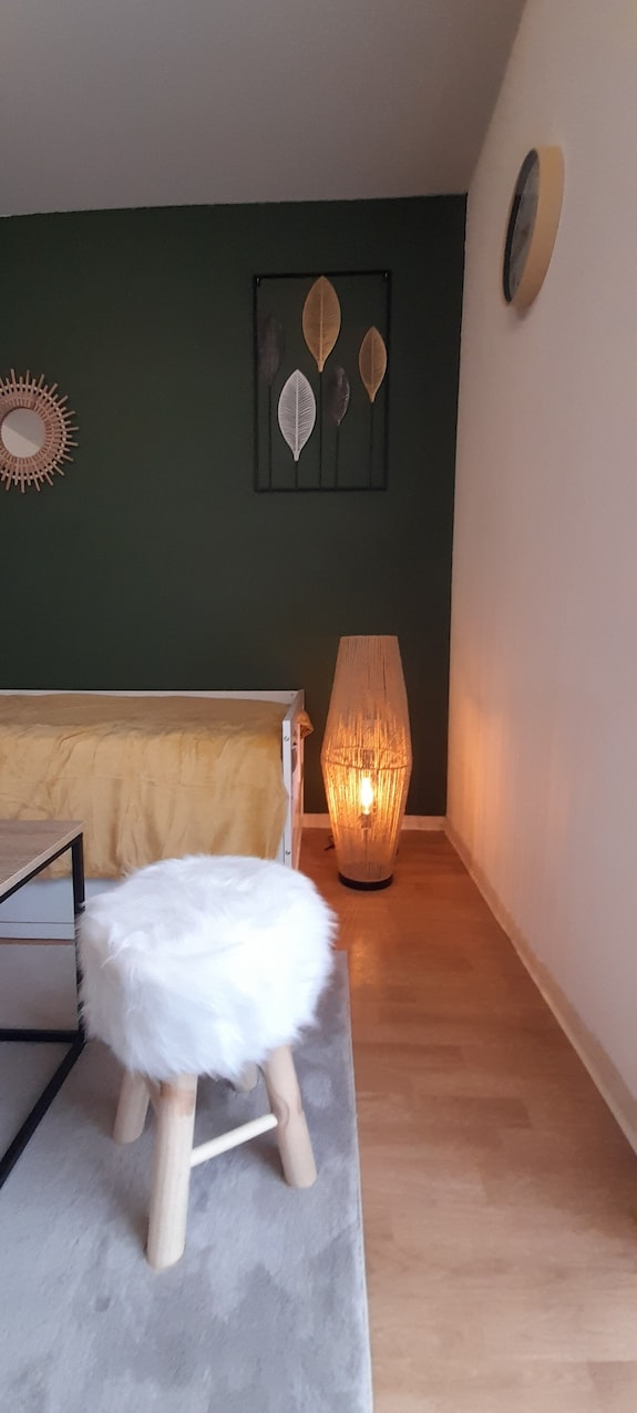 Appartement Du Mouflon Vert, Dans Résidence De Tourisme 3 éToiles - Lourdes