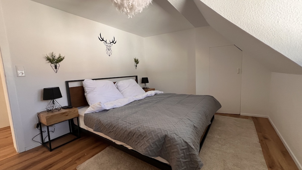 Stilvolle Wohnung Mit Eigenen Stellplatz Und Küche - Aschaffenburg