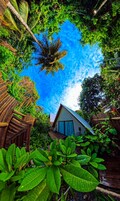 Uma casa rodeada por vegetação exuberante e um céu azul límpido.
