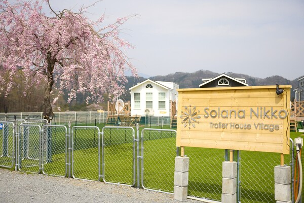 Solana Nikko - Nikko