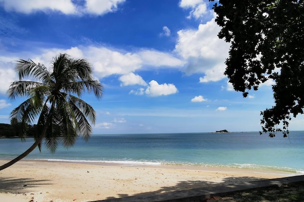 Vista da propriedade