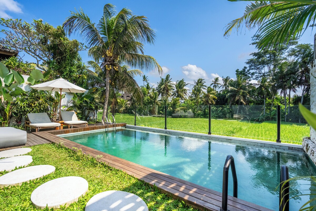 Piscina retangular com deck de madeira, rodeada por vegetação exuberante e palmeiras.