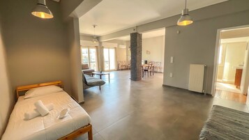 Apartamento Familiar | 1 quarto, ferro/tábua de engomar, Wi-fi grátis, roupa de cama fornecida