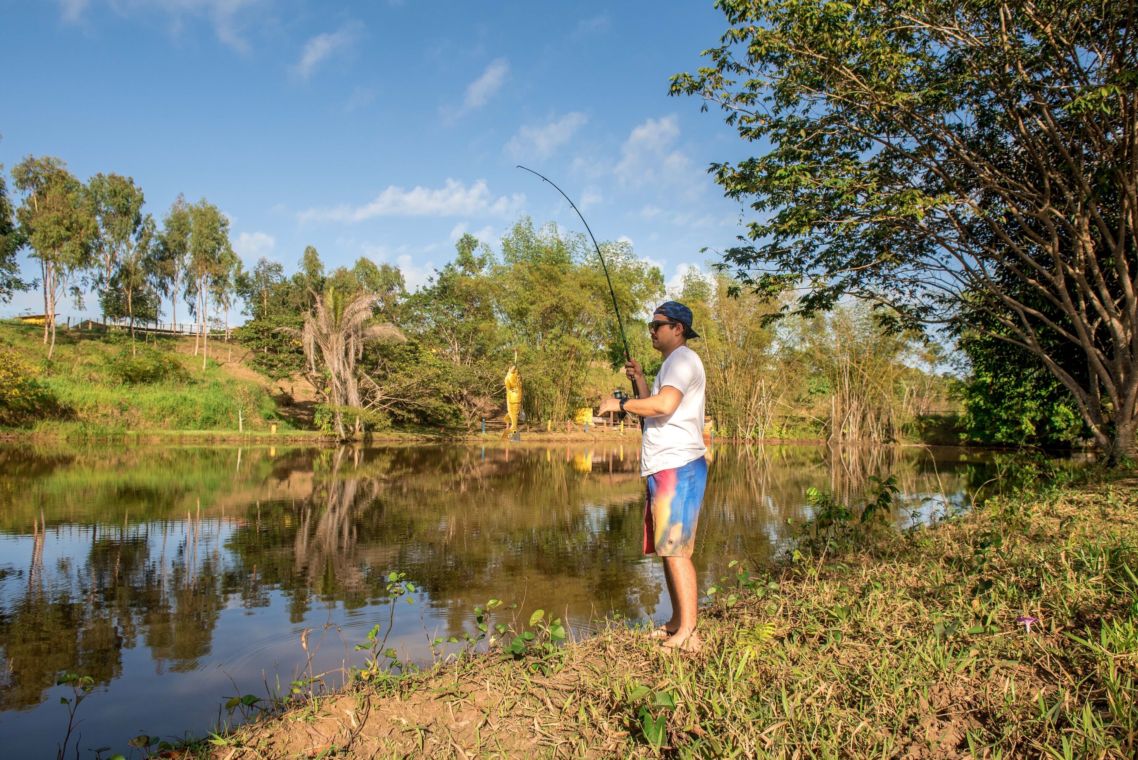 Uma pessoa pesca num lago calmo, rodeada por árvores e vegetação.