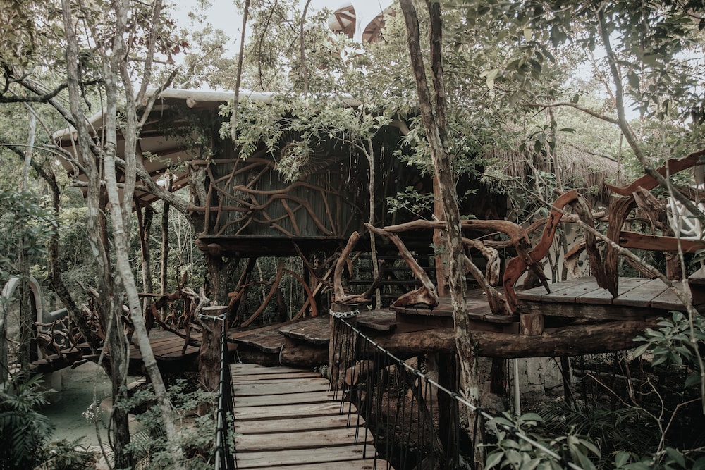 Ikalar - Riviera Maya