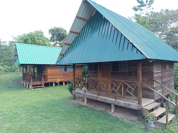 Quirquincho House - Madre de Deus