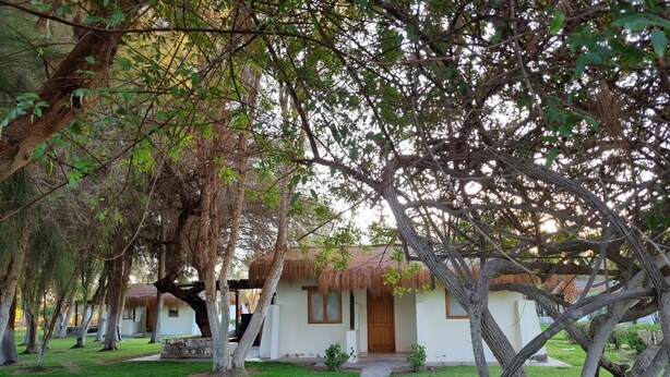 Uma cabana com telhado de palha, cercada por um gramado bem cuidado e árvores.