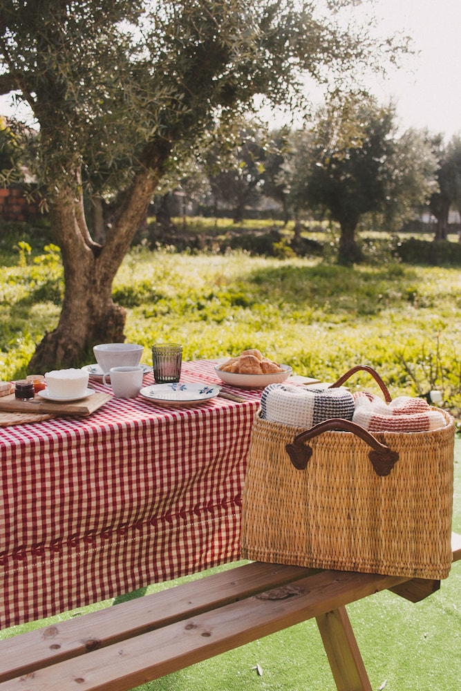 Chão Do Ribeirinho, Castelo Branco - Fundão
