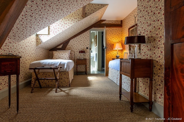Manoir Des Basses Rivieres - Tours