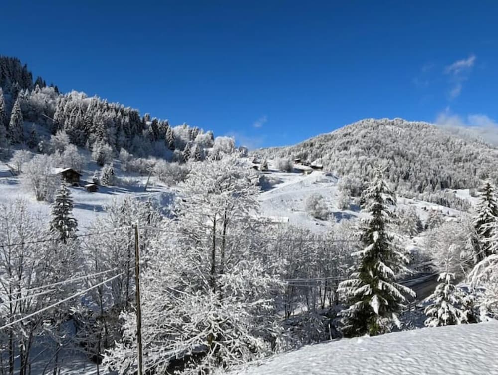 Appartement Dans Chalet, 3 Chambres & Mezzanine, Belle Vue & Ski à Pied - La Clusaz