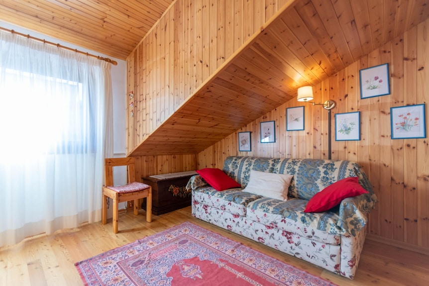 Petit Arnica - Selva di Cadore