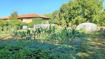 Jardim