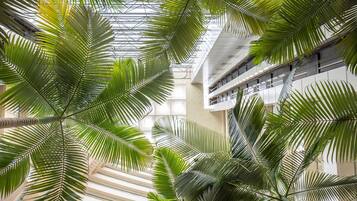 Pormenores do interior