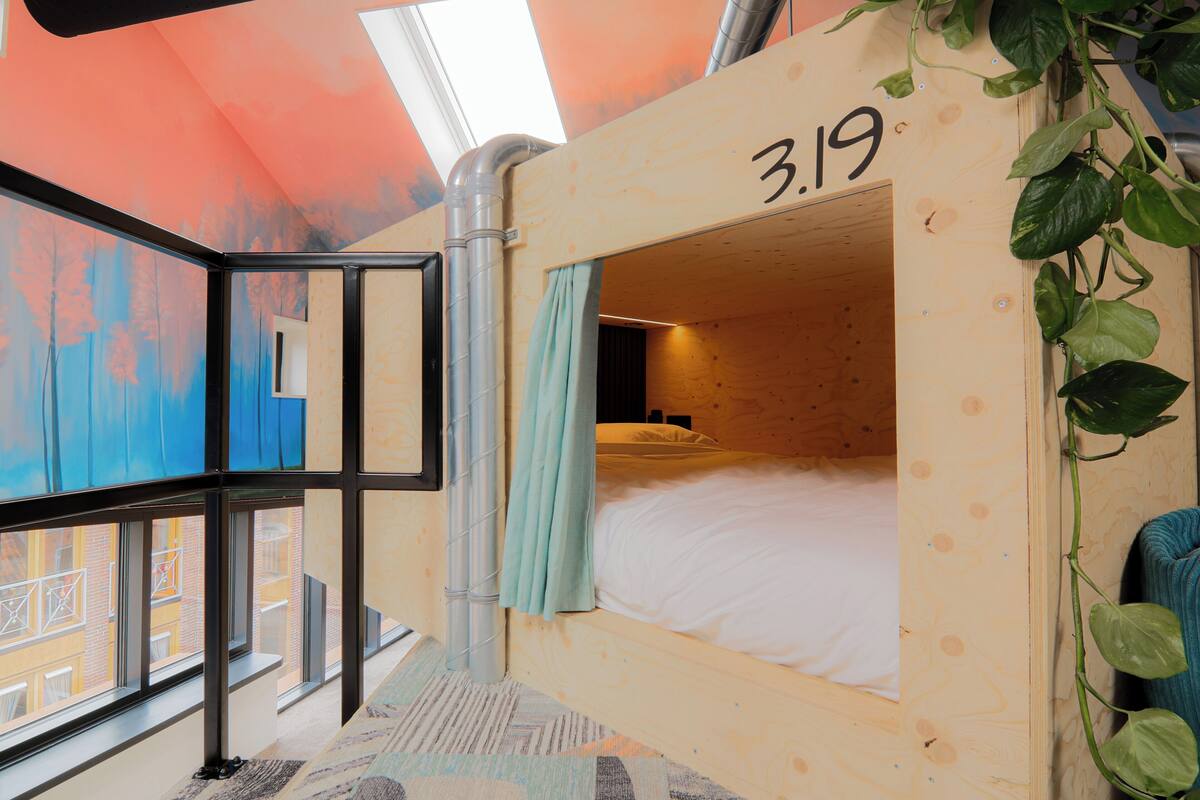 Quarto com beliche, número 319, janela com vista e uma planta à direita.