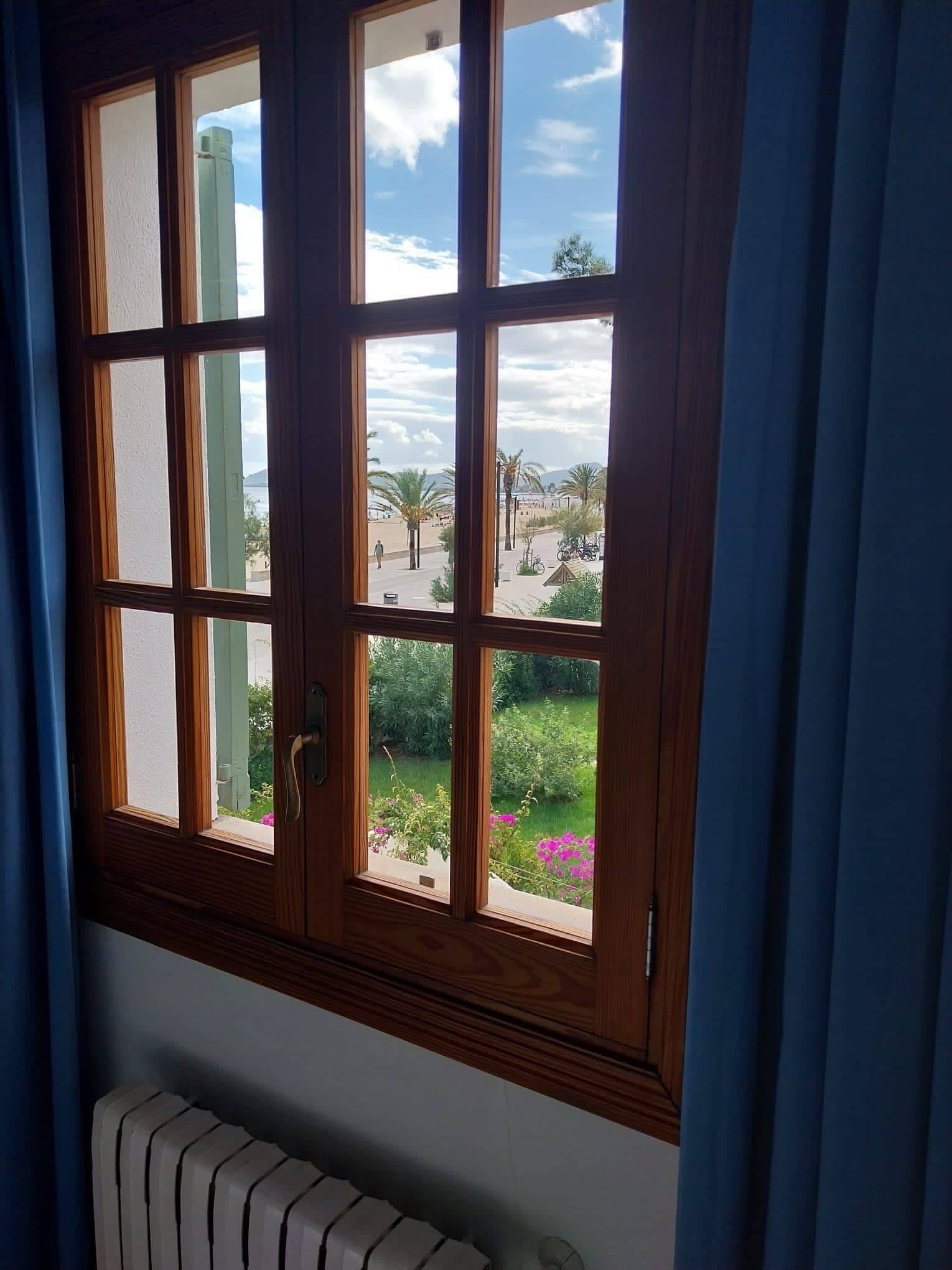 Uma janela com vista para um jardim e uma rua.