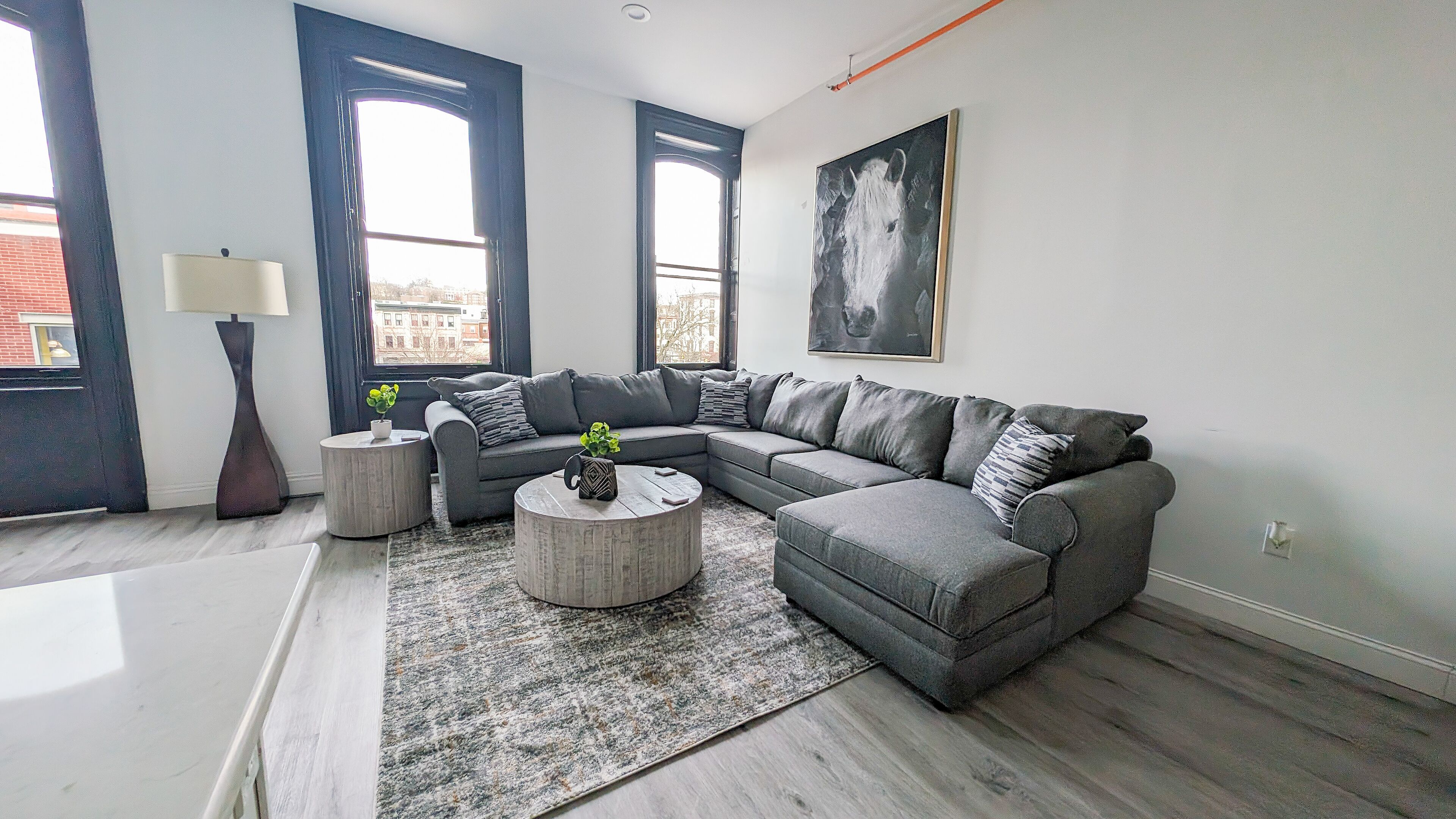 Unique Apartment In Easton's Heart - Easton, PA