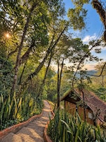 Uma trilha que leva a um edifício cercado por vegetação e árvores exuberantes.