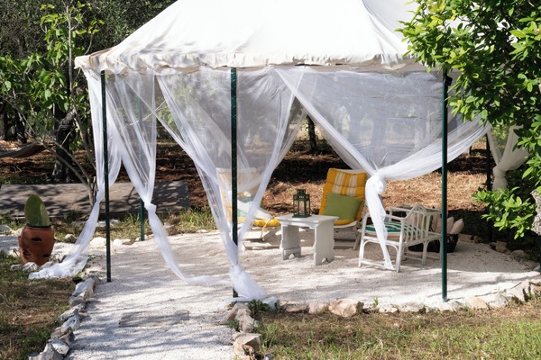 Jardim