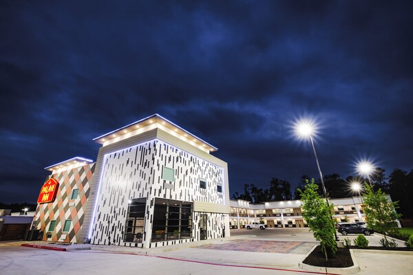 Palace Inn - Houston, TX