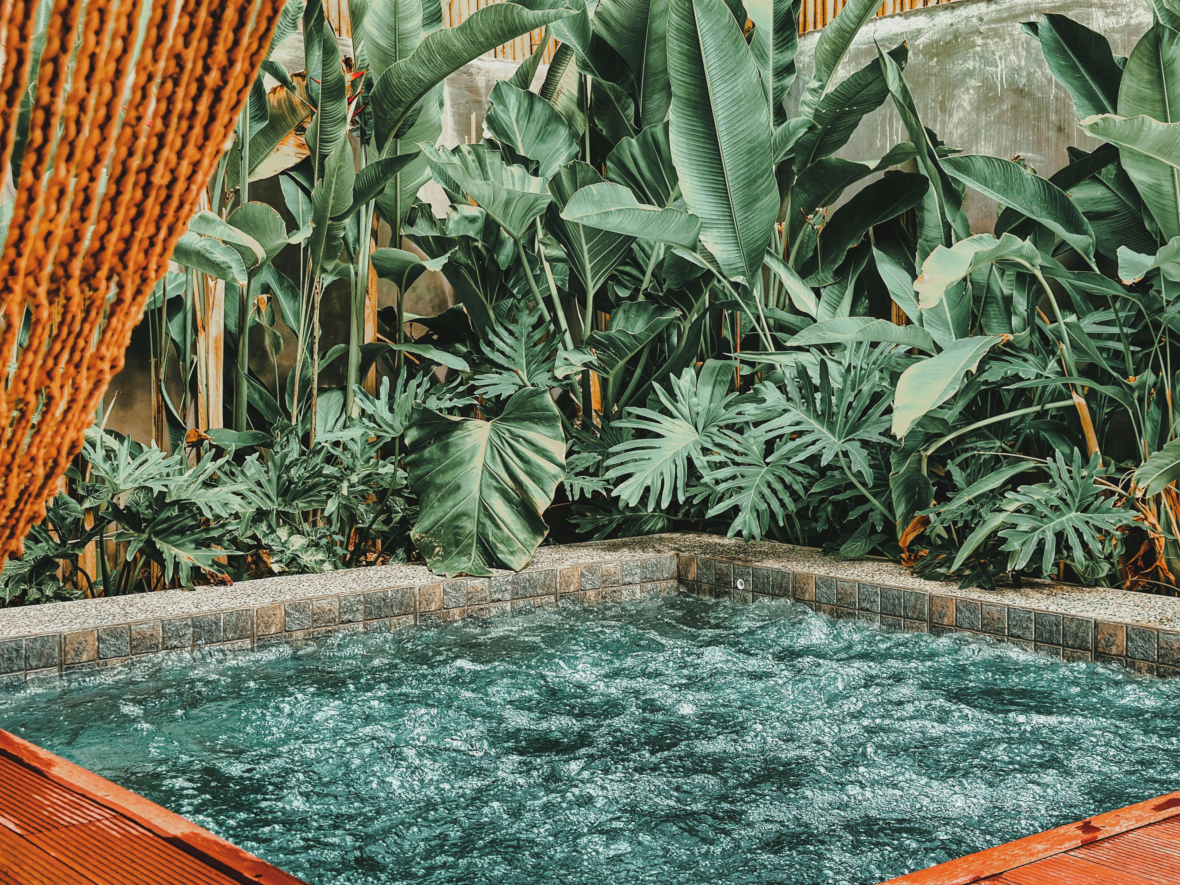 Cabana superluxo, 1 cama King, piscina particular, vista para a piscina | Roupas de cama de algodão egípcio, roupas de cama premium