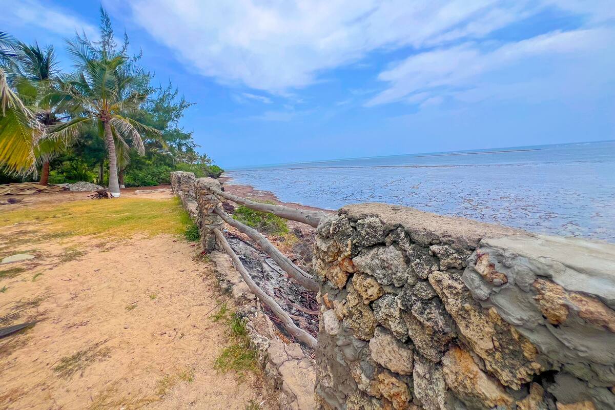 Paisagem costeira com um caminho de areia, palmeiras e um muro de pedra que dá para o mar.