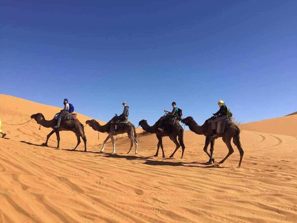 Overnight Camp Merzouga & Camel Tours - Merzouga