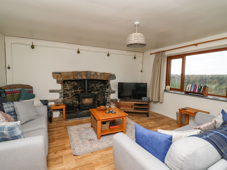 Blaenferwig, Pet Friendly, With Open Fire In New Quay - Pembrokeshire