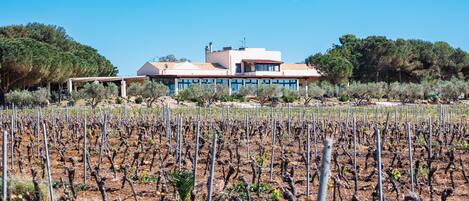 Fachada do alojamento