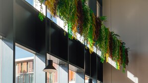 Um interior moderno com grandes janelas, cadeiras verdes e plantas penduradas.